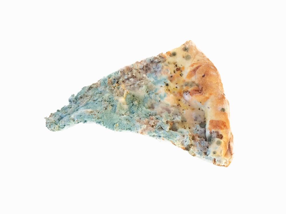 Moldy Pizza: Causes, Risks, and Prevention - Pizzaware